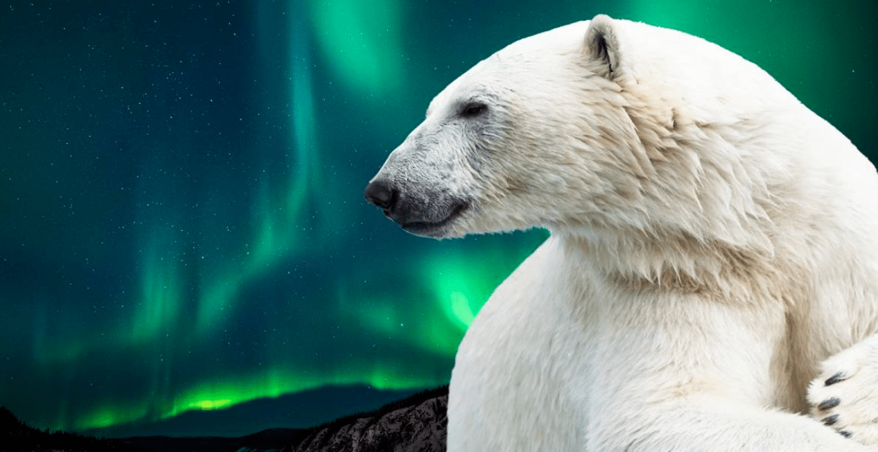 Arctic Voices at Science World – NorthVancouver.com – North Vancouver, BC