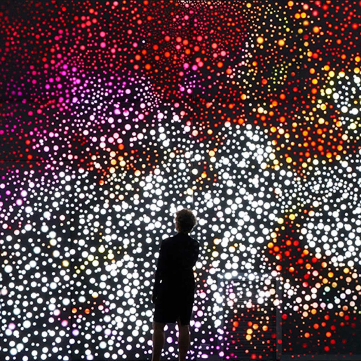 Star Witness at the Polygon – NorthVancouver.com – North Vancouver, BC